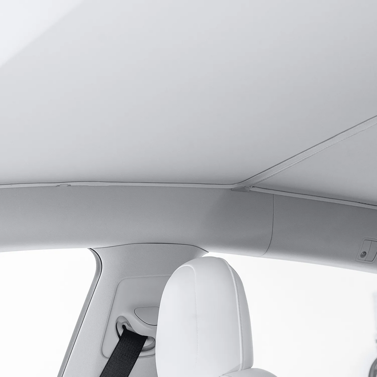 Best Roof Glass Sunshade for Tesla Model Y | HALOBLK